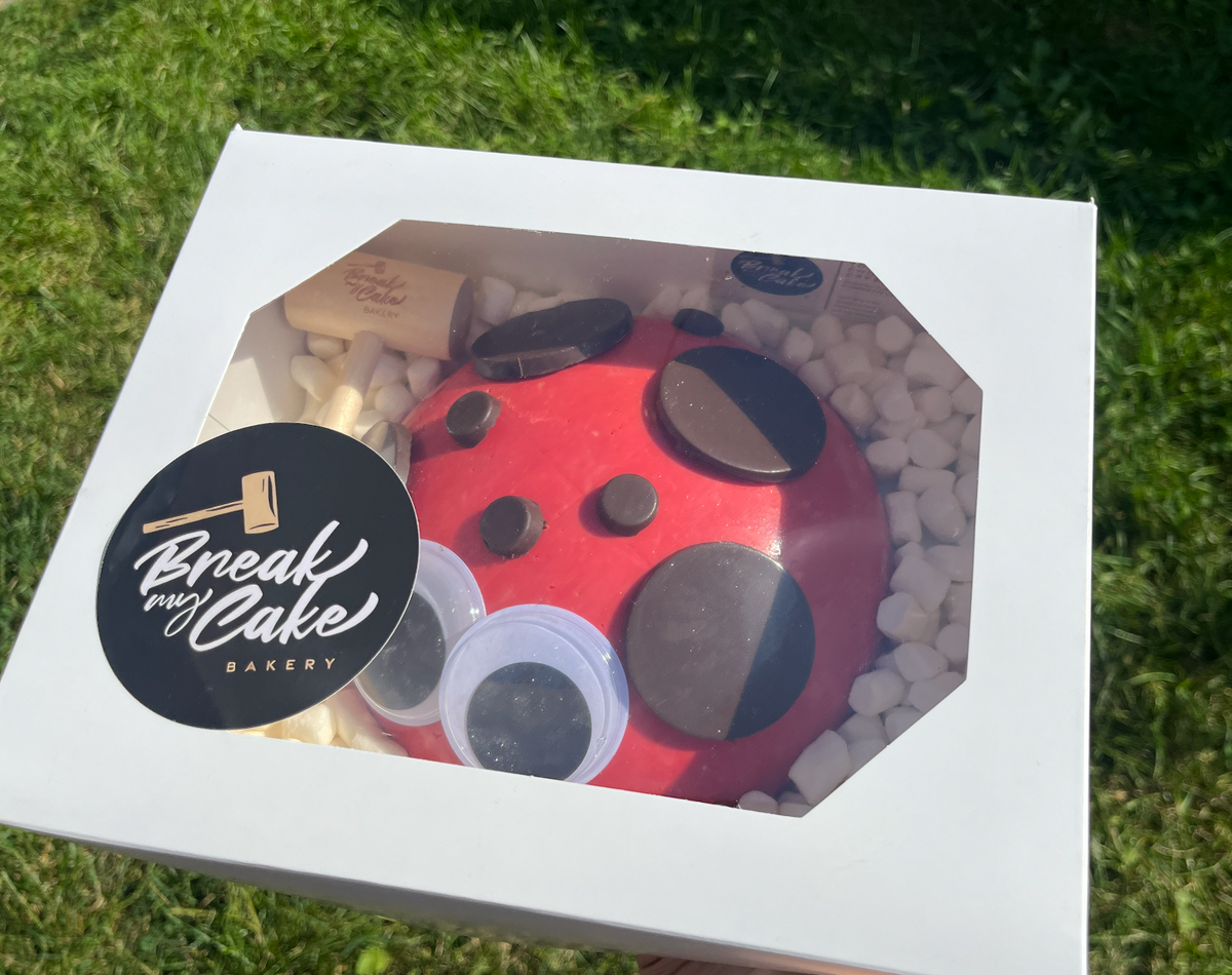 Lady Bug Piñata Smash Cake Toronto & GTA – Break My Cake